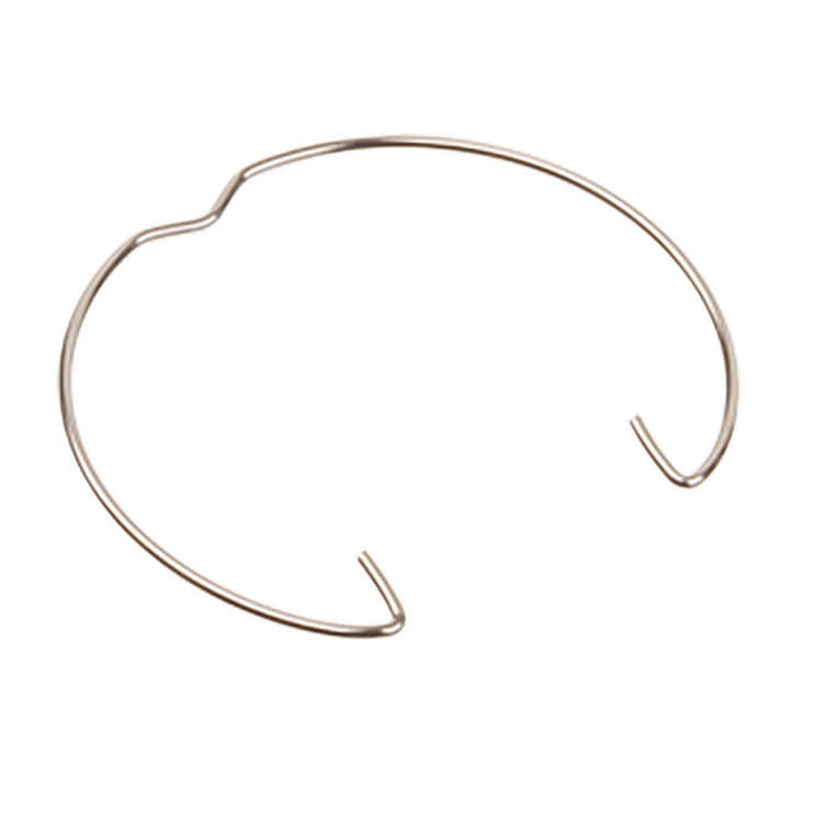 Lamp retaining clip – Commercial Lighting by Right Lights