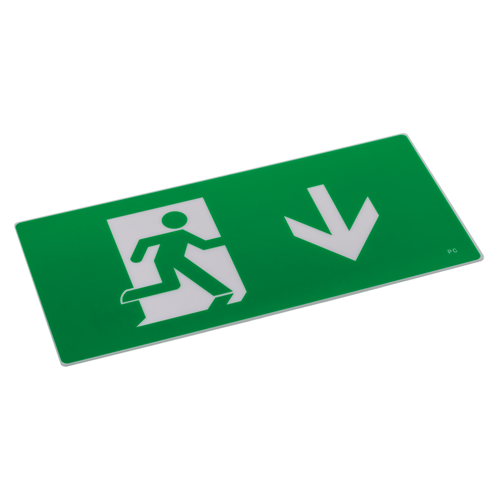 Red Arrow ELEB-D EBM Exit Legend - Arrow Down – Commercial Lighting by ...